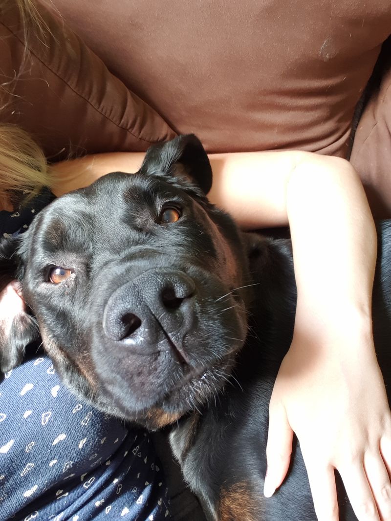 Milo - Deine Schritte sind verstummt, doch die Spuren deines Lebens bleiben