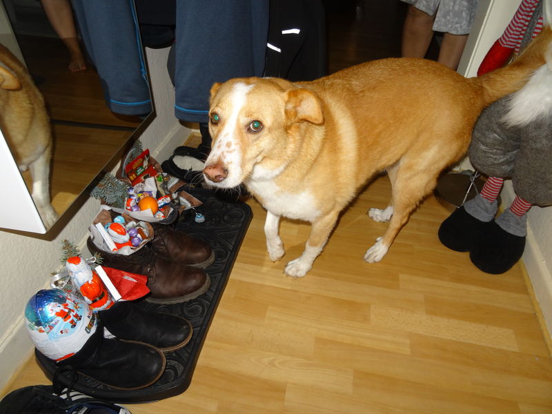 Mickie - eingetragen am 22.09.2020