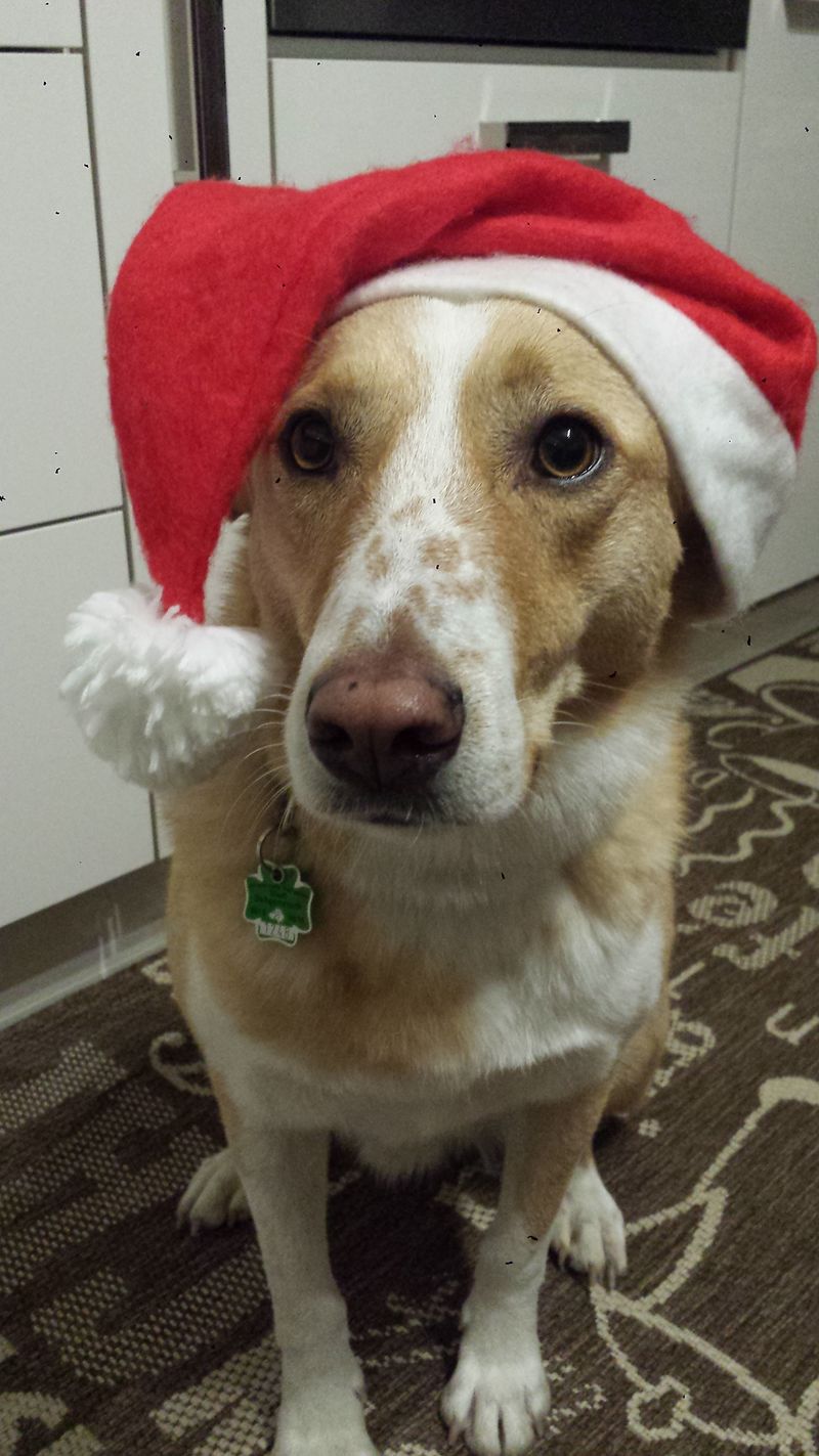 Mickie - eingetragen am 22.09.2020